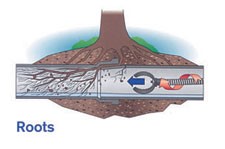 Shamrock Construction | Sewer Lines